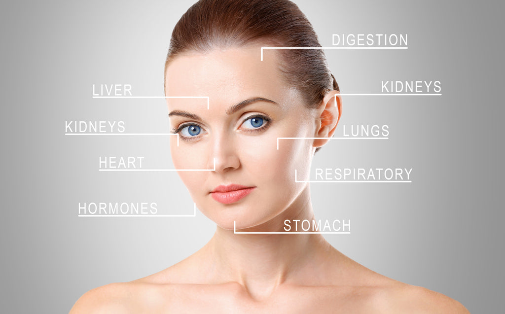 Chinese Facial Breakout Chart