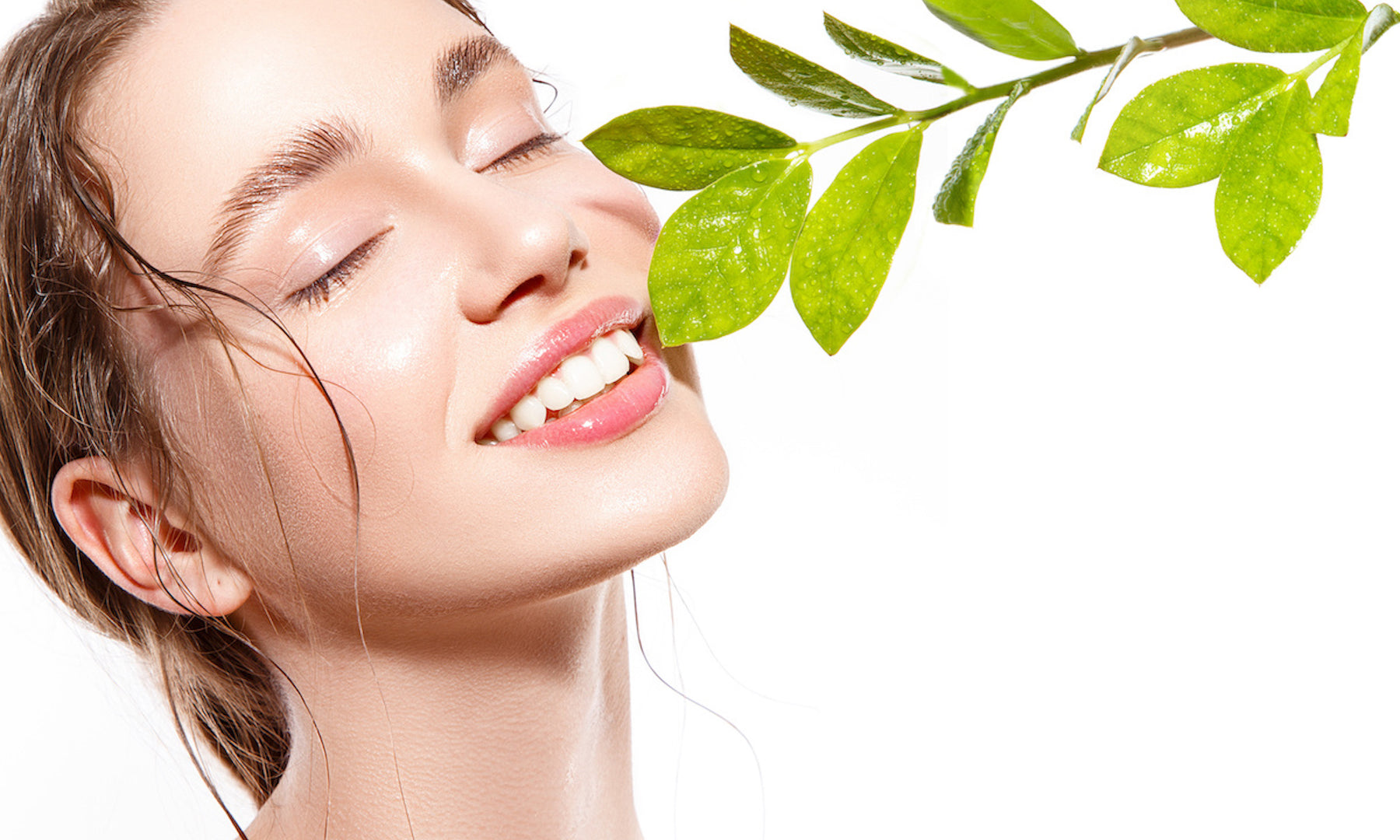 Living In Color: The Blue Base/Yellow Base Color System